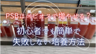 PSBの使い方や使用量・保存方法を解説！デメリットはある？｜random trivia